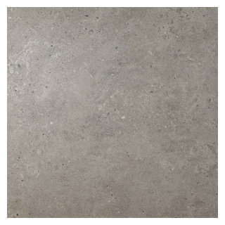 Icon Rectified Porcelain Tile, 36"x36", 36x36 - Traditional - Wall And ...