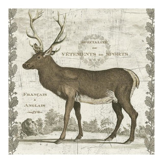 "Regal Stag Sq" Digital Paper Print by Sue Schlabach, 20"x20", 18"x18 ...