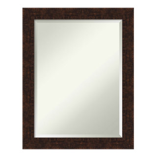 William Mottled Bronze Framed Wall Mirror, 22 in. x 28 - Transitional ...
