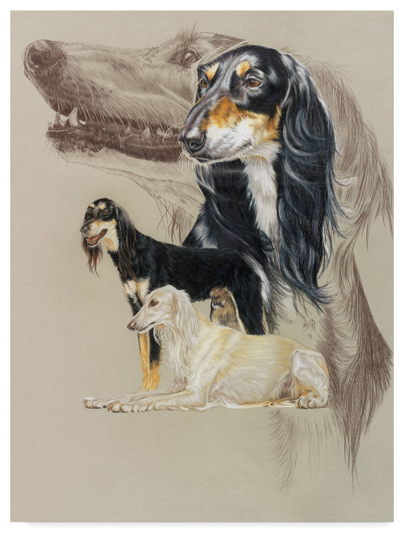 "Saluki" by Barbara Keith, Canvas Art, 19"x14" - Contemporary - Prints And Posters - by ...