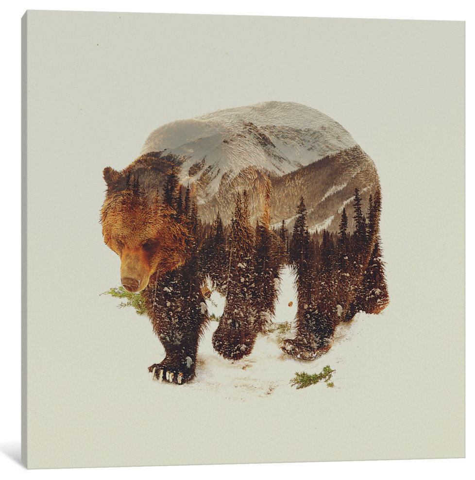 "Bear I" by Andreas Lie, 12"x12"x1.5" - Contemporary - Prints And ...