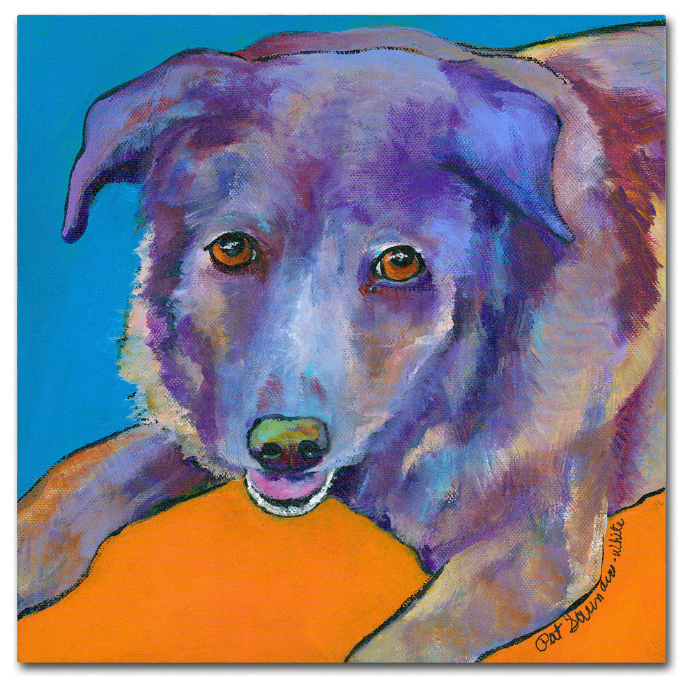 Pat Saunders-White 'Butch' Canvas Art, 35"x35" - Contemporary - Prints ...