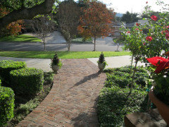 Hedge, trees, or nothing around Governor’s Driveway