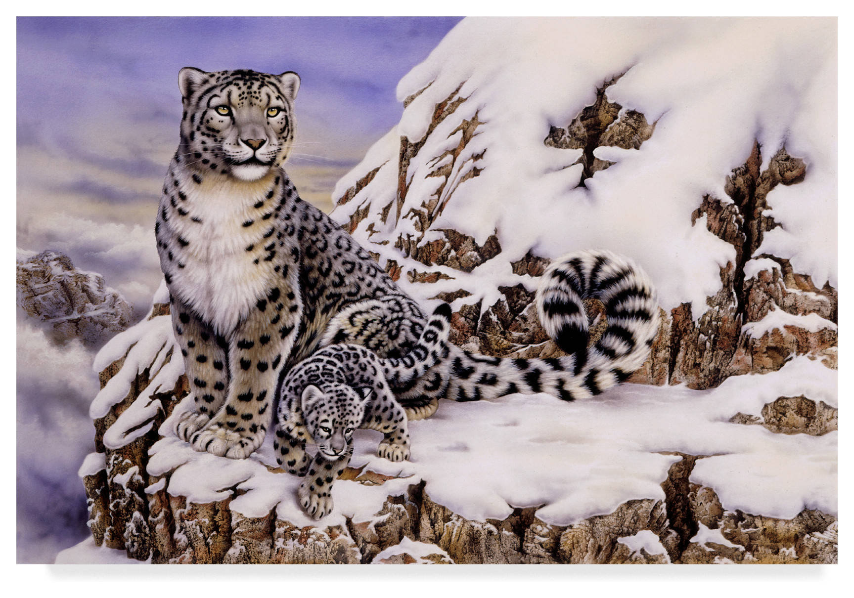 "Snow Leopard" by Howard Robinson, Canvas Art, 30"x47" - Contemporary ...