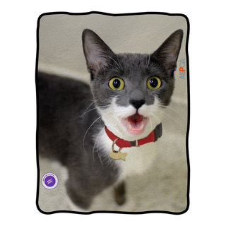 Nory the Cat ASPCA Fleece Blanket, 11 - Contemporary - Blankets - by ...