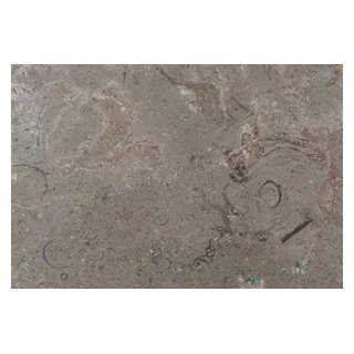 Shark Skin Limestone Tiles, Honed Finish, Sample - Traditional - Wall ...