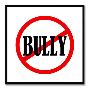 "Bully" Sign White Canvas Print, Custom Picture Frame, 20"x20 ...