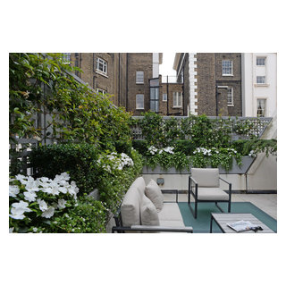 Traditional Trellis - Making Smaller Spaces Work - Traditional - London ...