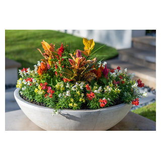 Phantom Springs - Contemporary - Landscape - Dallas - by AquaTerra ...