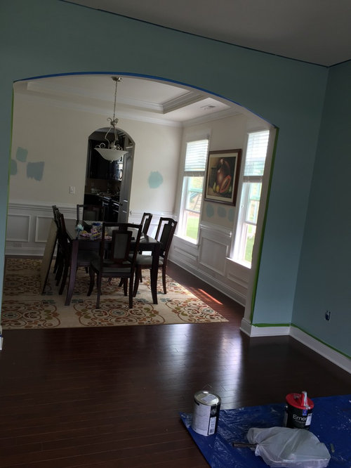 Paint color help