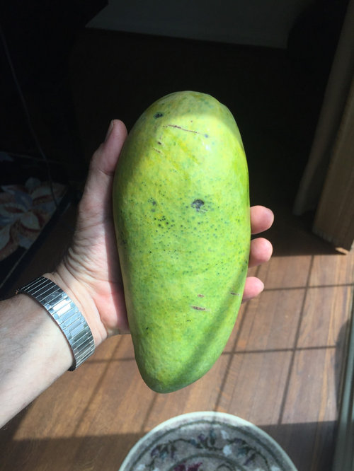 Can anyone ID this mango from the market?