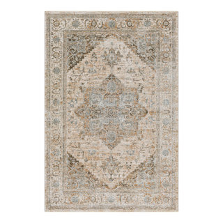 Surya Brunswick Light Beige Rug 5'x7'5" - Contemporary - Area Rugs - by ...