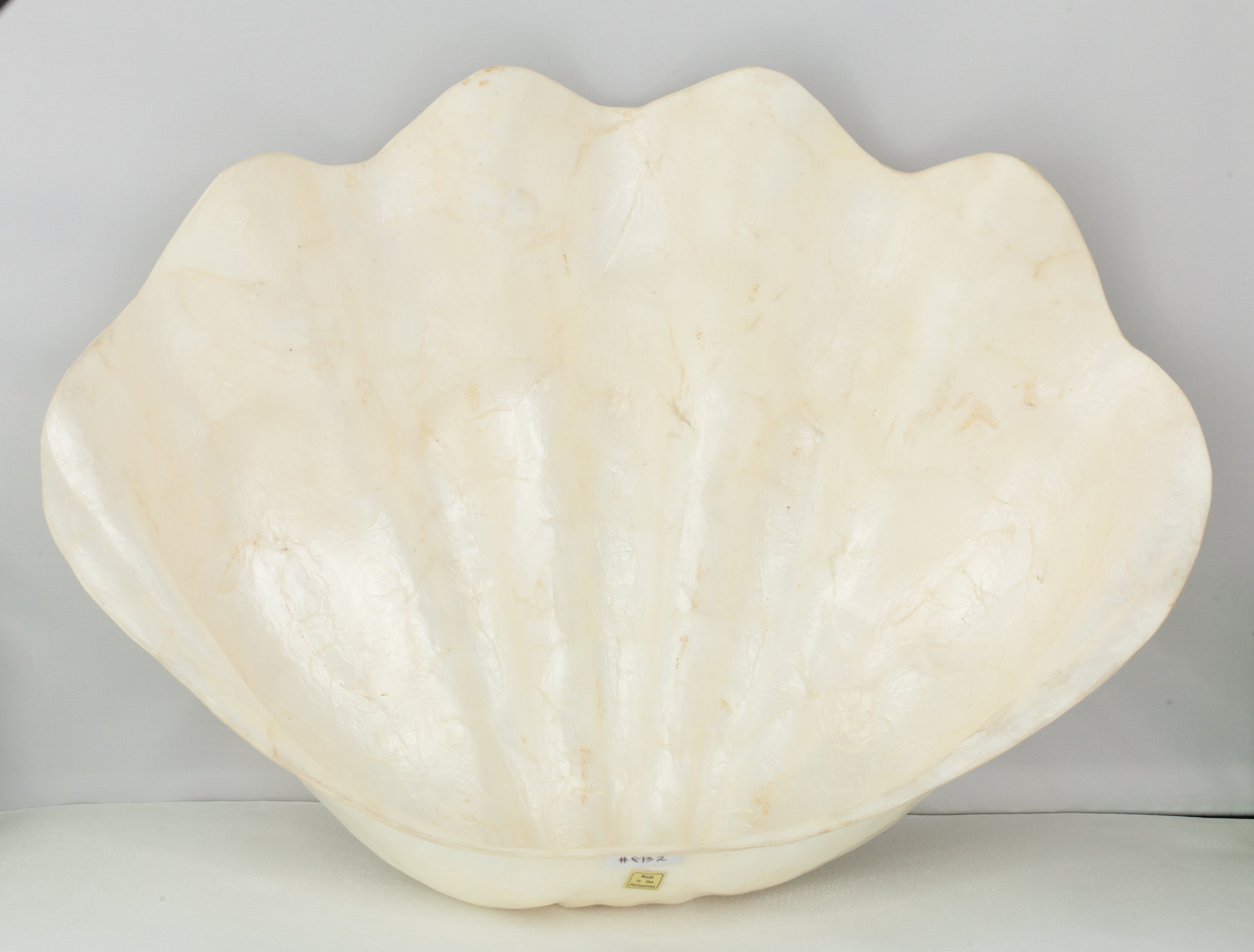 Capiz Clam Bowls, Large, 18" - Beach Style - Decorative Bowls - by The ...