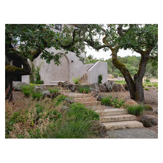 Rocky Hills - Mediterranean - Landscape - San Francisco - by ROCHE ...