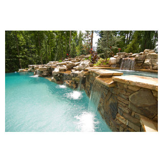 Free Form Swimming Pool: Dive into Timeless Elegance - Traditional ...