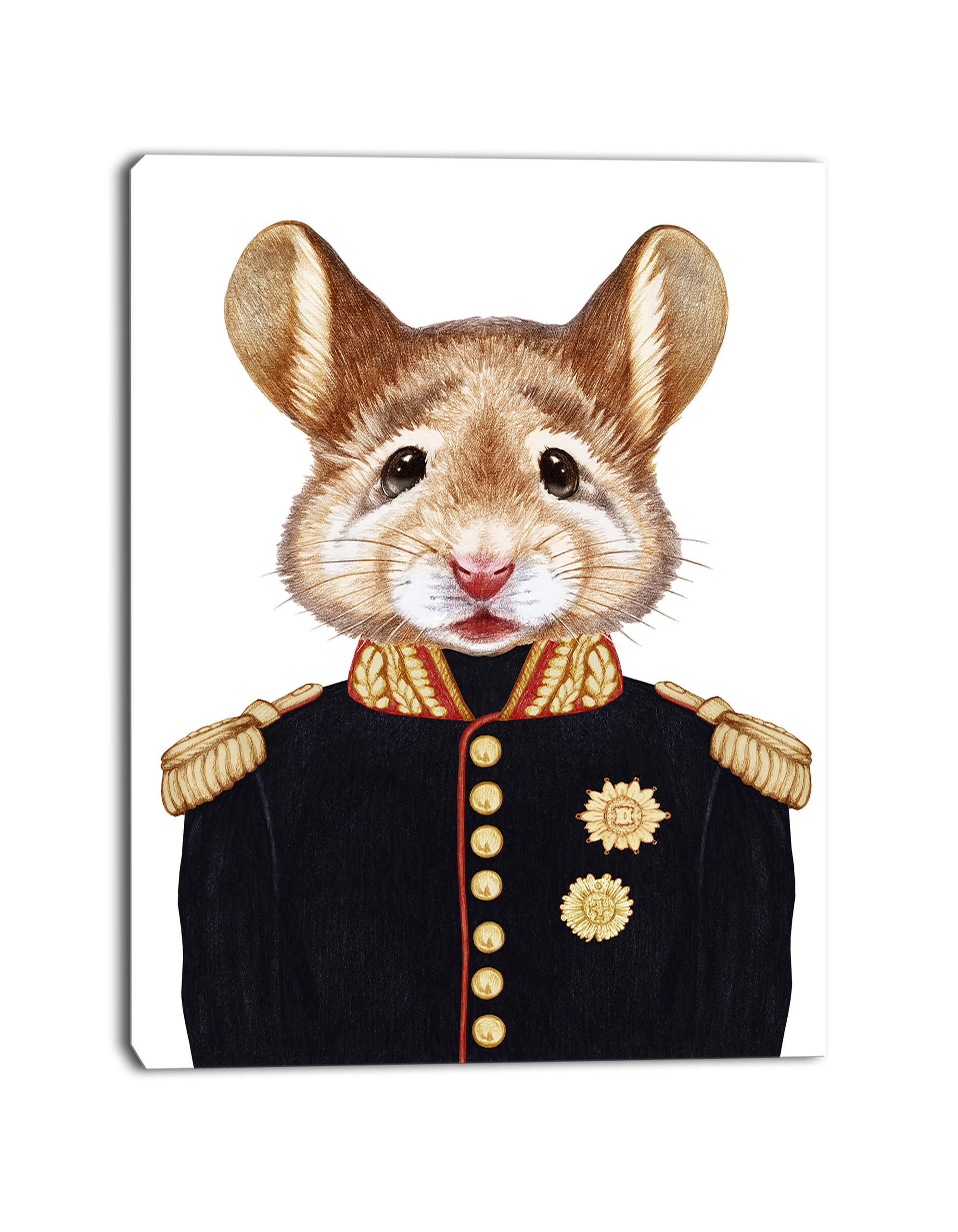 Mouse in Military Uniform, Animal Canvas Art Print, 30"x40" - Eclectic ...