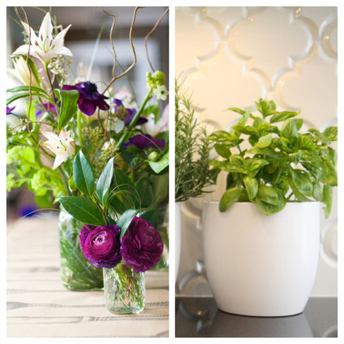 POLL: Cut flowers or living plants?