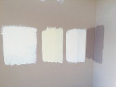 Emerging Taupe from Sherwin Williams