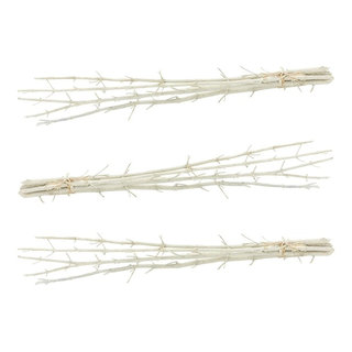 Dimond White Mulberry Stick Bunch, Set of 3 - Beach Style - Decorative ...