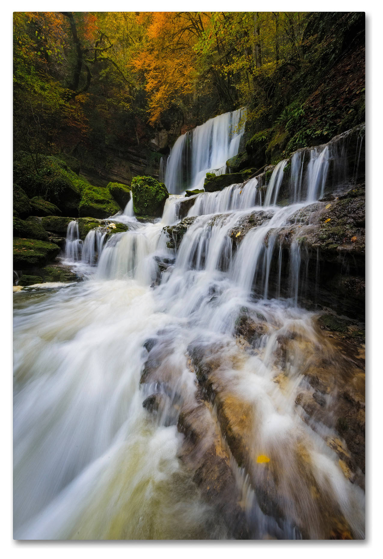 Mathieu Rivrin 'Symphony of Autumn' Canvas Art, 16x24 - Traditional ...