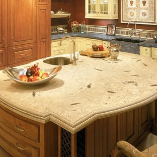 Fossil Countertop | Houzz
