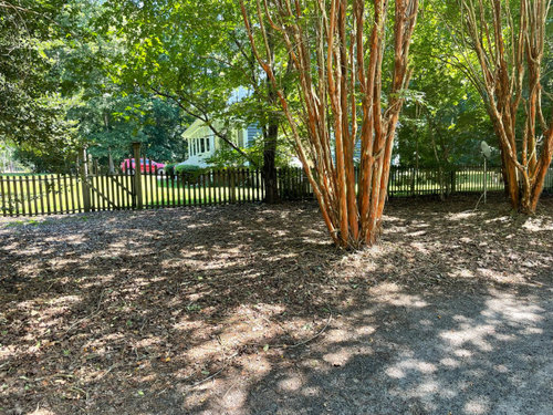 What to do with tree grove beside driveway?