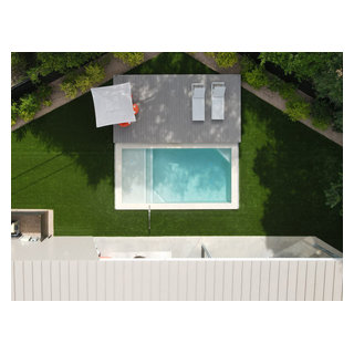 Great Oaks Tiny Pool - Modern - Pool - Austin - by Texas Tiny Pools | Houzz