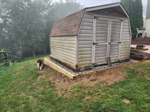 Landscape Help Needed: Large Gap Between Shed and Patio