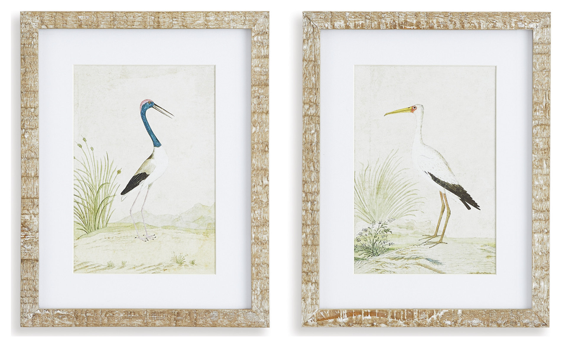 Wading Bird Prints - Beach Style - Prints And Posters - by Napa Home ...