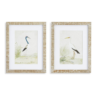 Wading Bird Prints - Beach Style - Prints And Posters - by Napa Home ...
