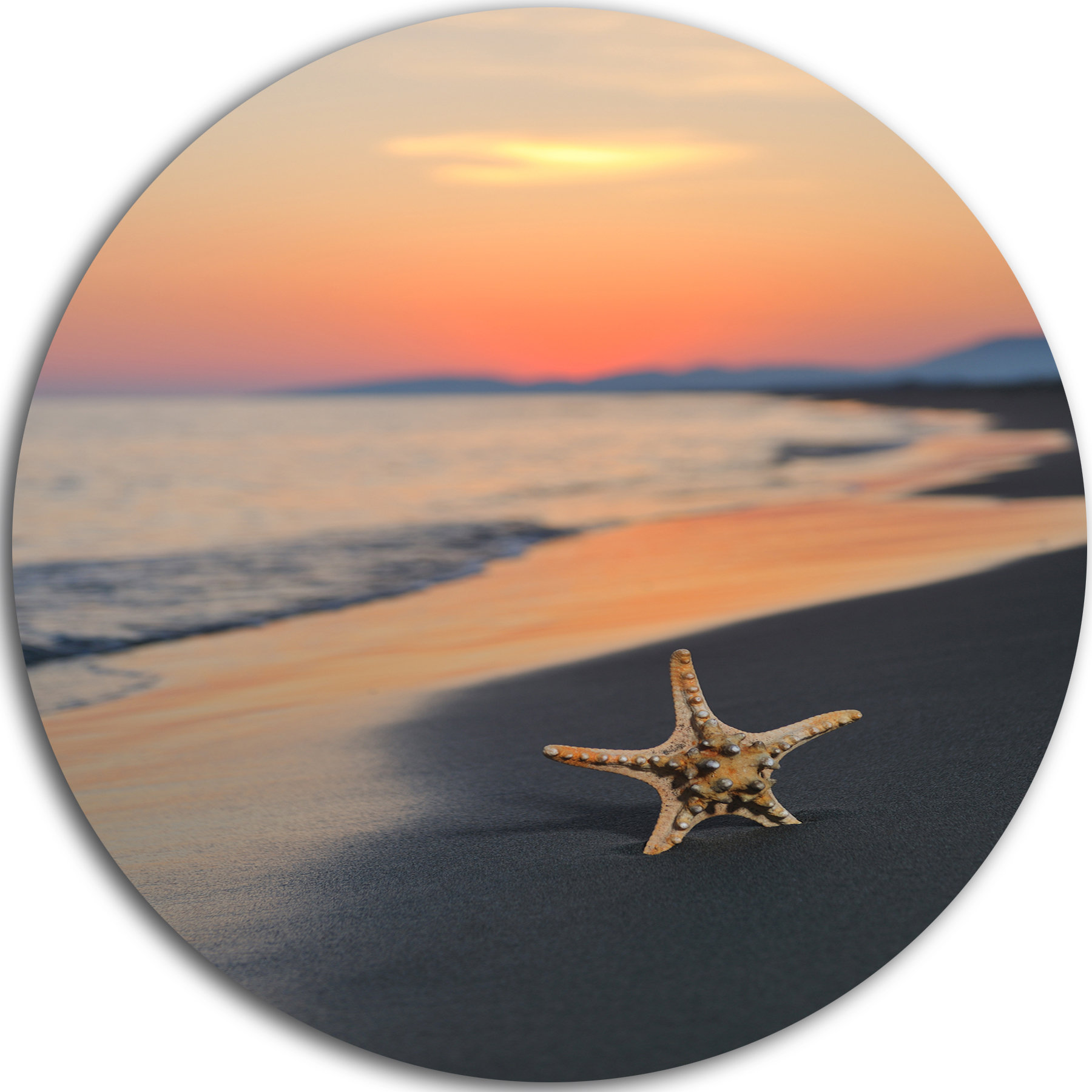 Summer Beach With Starfish, Beach And Shore Round Wall Art, Disc of 23 ...