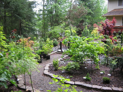 More photos from my 'chaotic' gardens'.