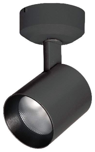 Lucio LED 22W Monopoint 2700K Ultra Narrow Beam, Black - Transitional ...