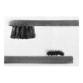 "dear Friend" Digital Paper Print by Stefano Mallus, 20"x14", 62"x42 ...