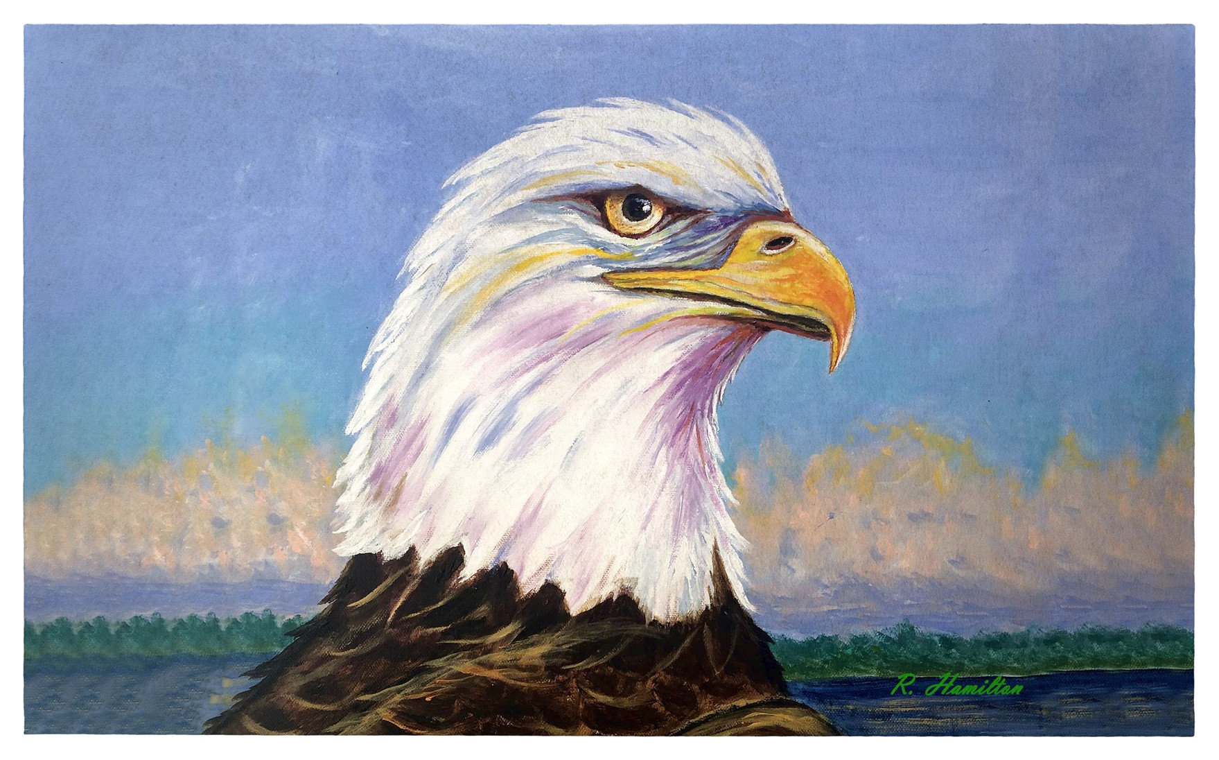 Betsy Drake Eagle Portrait Door Mat 30x50, 50 inches - Contemporary ...