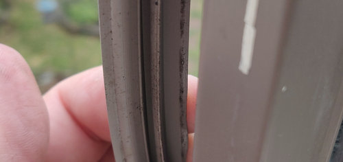 Replacing Window Seal