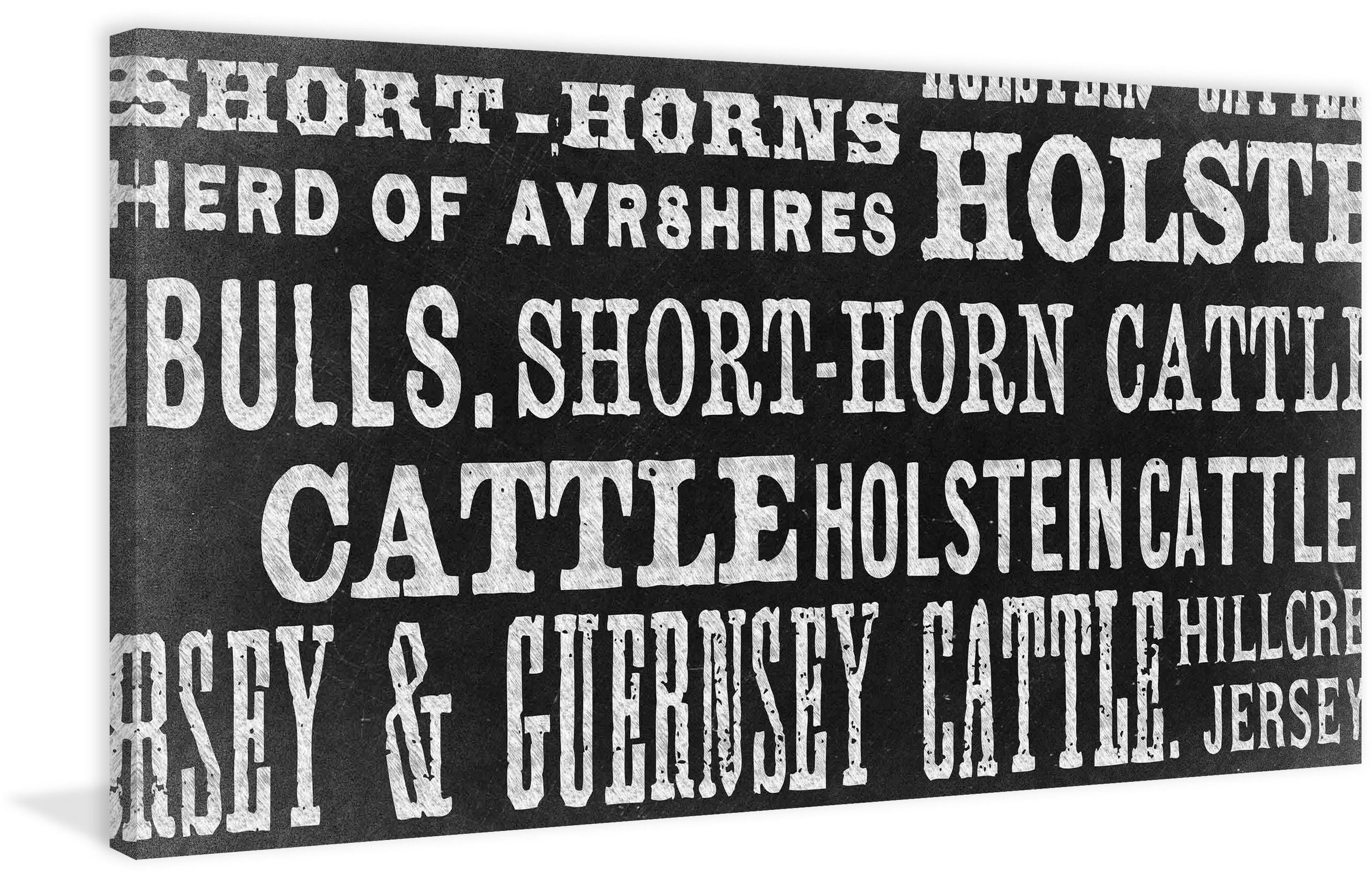 "Cow Chalk 2" Painting Print on Canvas, 36"x18" - Farmhouse - Prints ...