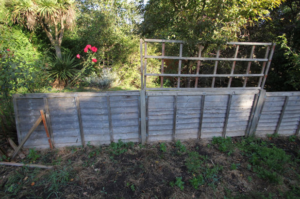 Backyard of the Week: Zigzag Paths and Modern Prairie-Style Beds