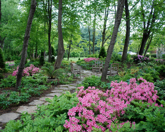 Landscaping A Wooded Lot Landscape Ideas, Designs, Remodels & Photos