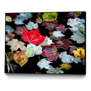 Giant Art Canvas 24x18 Autumn Leaves Framed in Multi-Color ...
