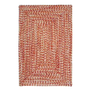 Catalina Rug, Fireball, 2'x4', 2'x4' - Contemporary - Outdoor Rugs - by ...
