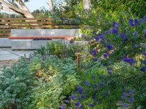 The Benefits of Wild Landscape Design