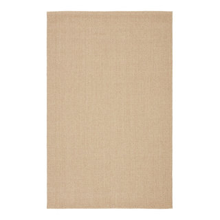 Jaipur Living Emere Natural Solid Beige Area Rug, 2'X3', 5'X8' - Beach ...
