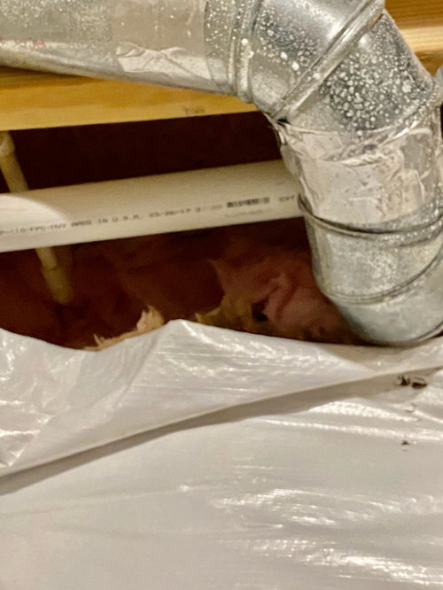 Brown insulation in basement