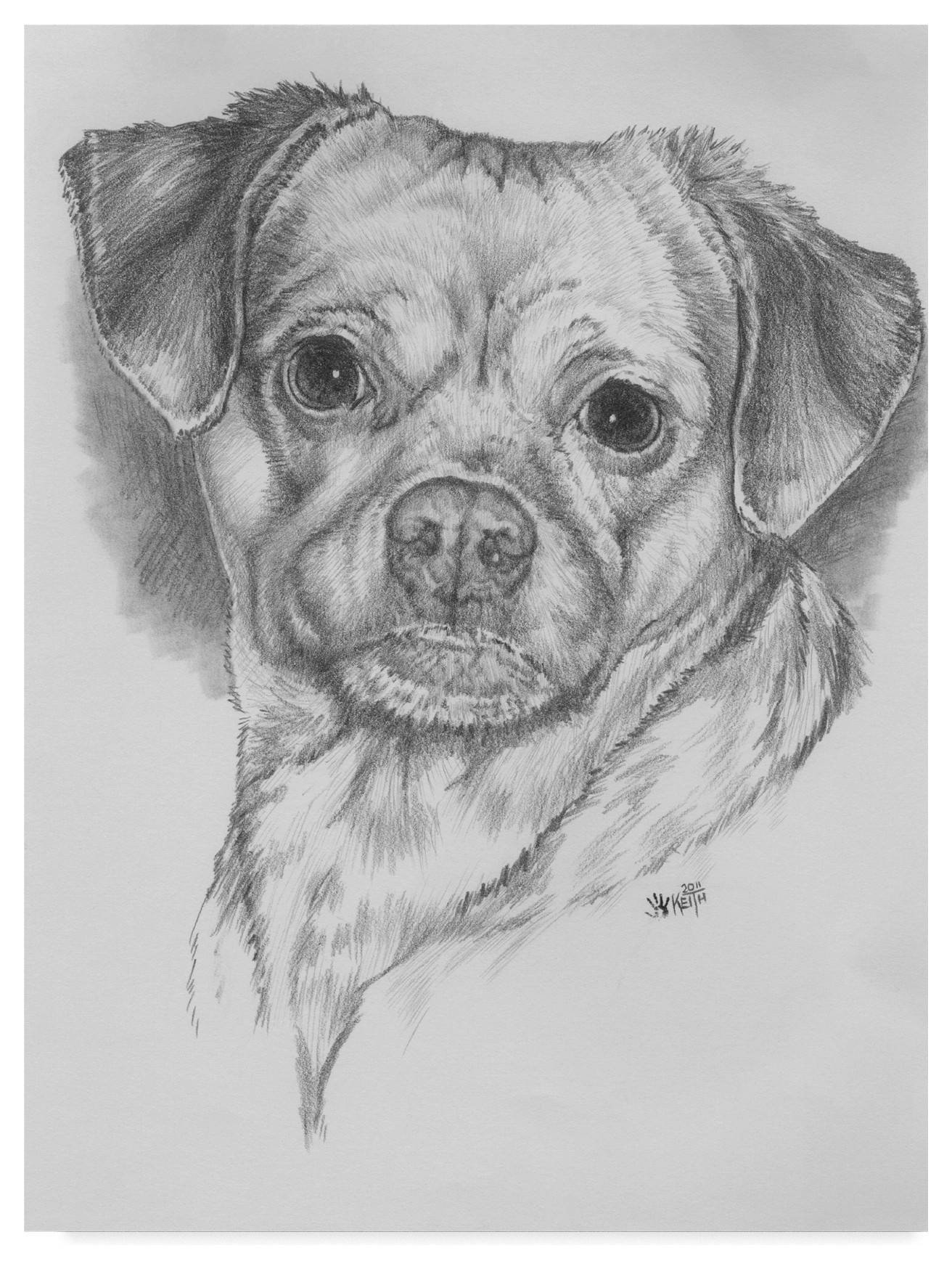 "Pug Wawa" by Barbara Keith, Canvas Art, 19"x14" - Contemporary ...