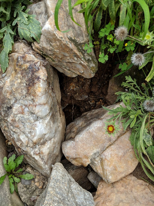 Help my washed out rock garden!