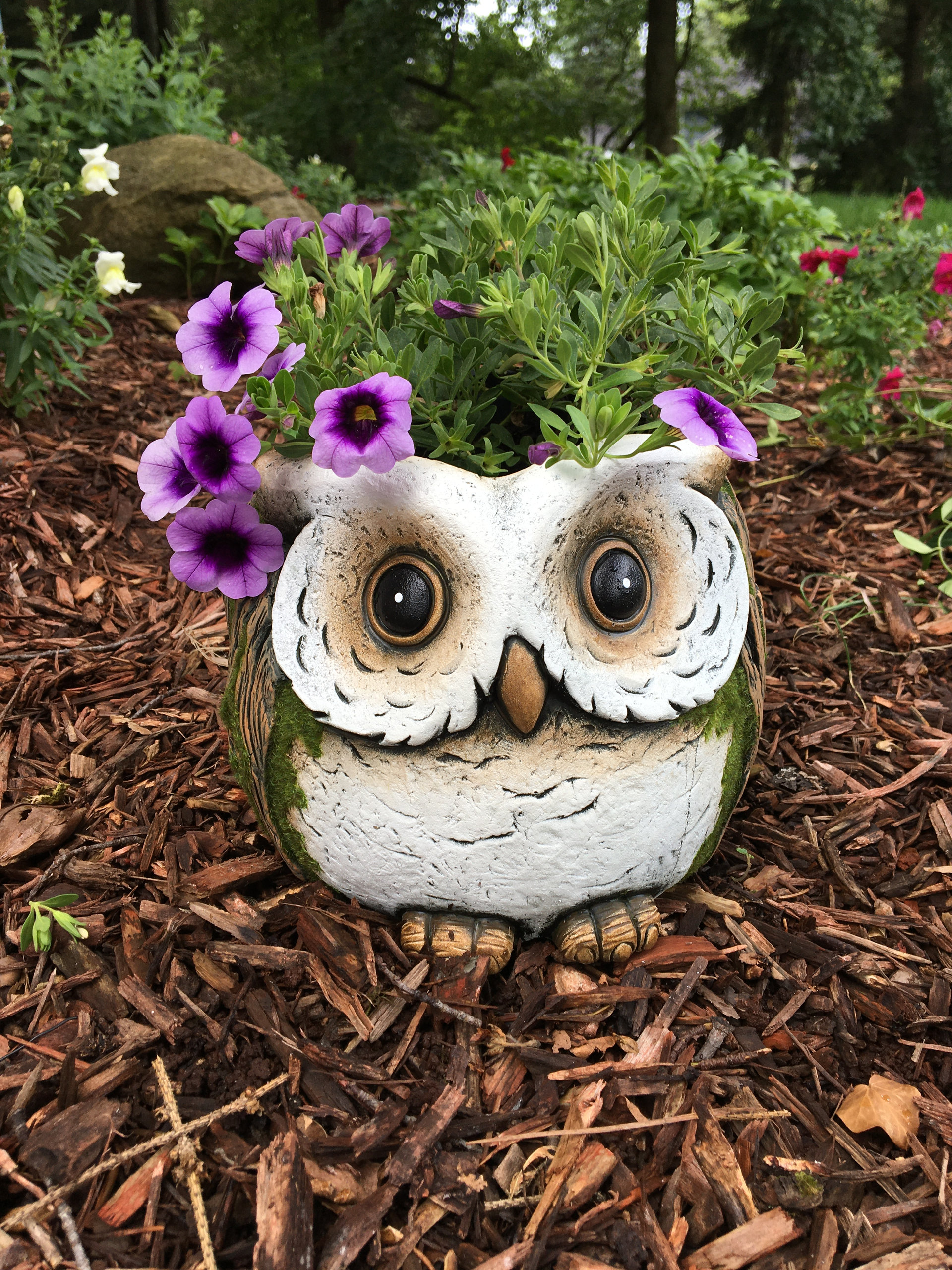 8" Owl Flower Pot - Rustic - Outdoor Pots And Planters - by Santa's ...