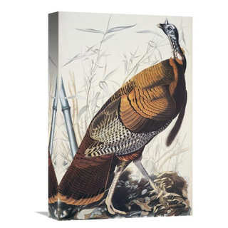 "Wild Turkey" Artwork, 12" x 18" - Contemporary - Prints And Posters ...