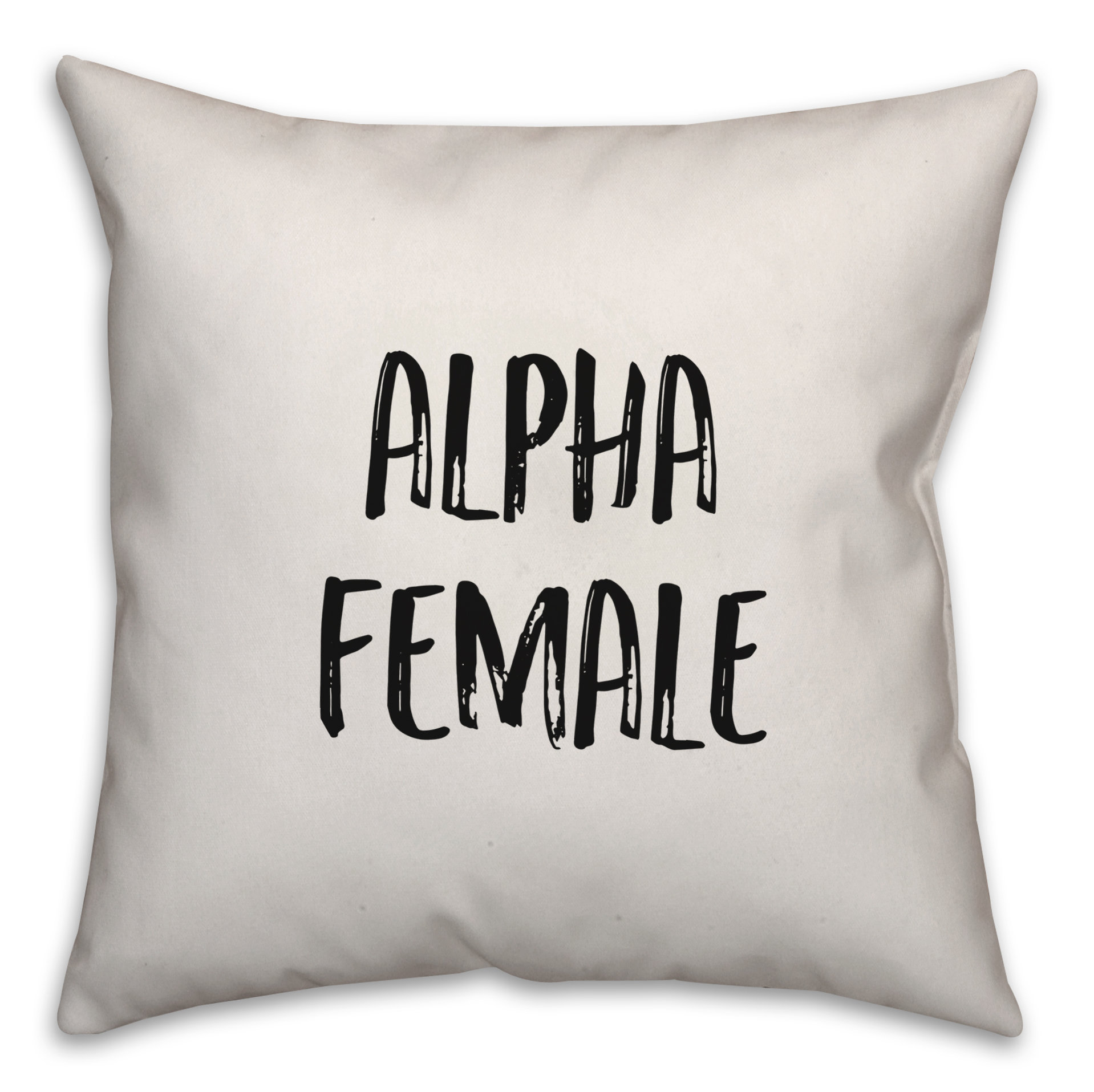 Alpha Female, 20"x20" - Contemporary - Decorative Pillows - by Designs ...