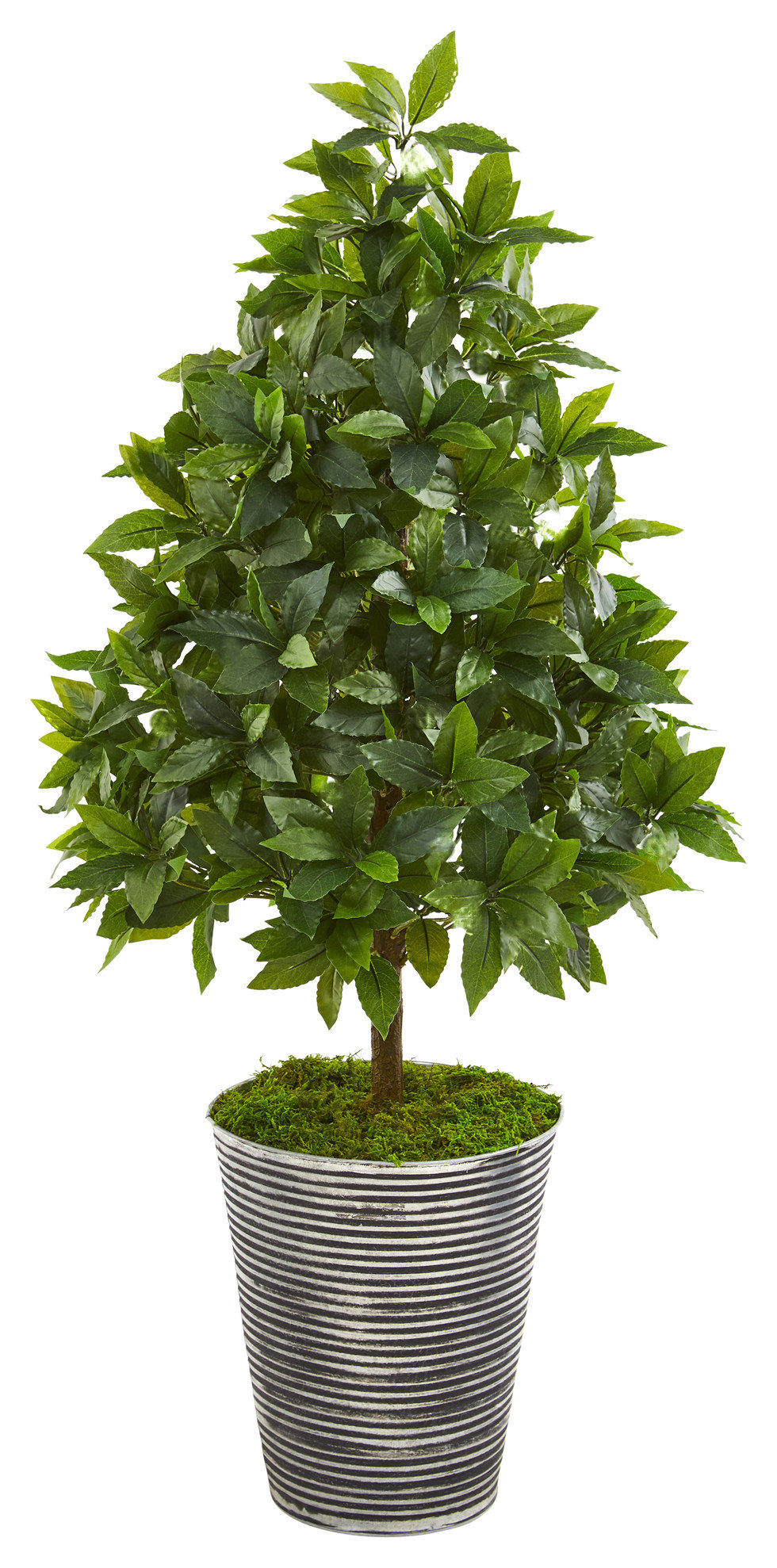 Nearly Natural 34 Sweet Bay Cone Topiary Tree in Country White Planter ...